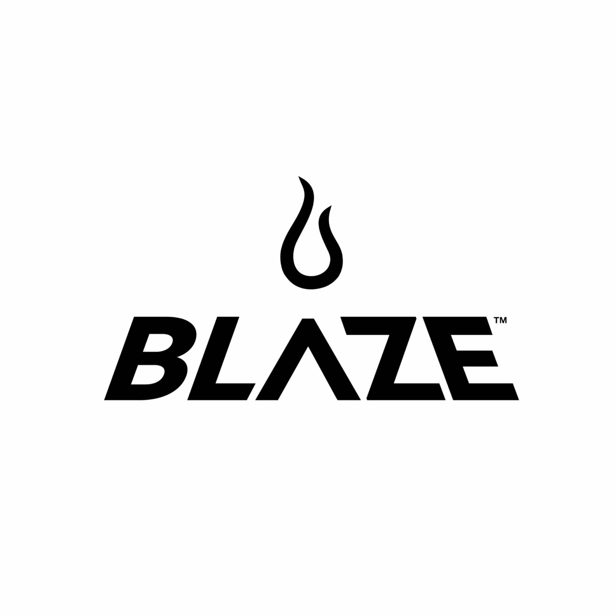 Blaze Outdoor Products | Grills, Storage & More